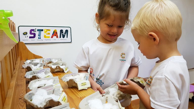 National STEAM Day | Cambridge @ Robertson